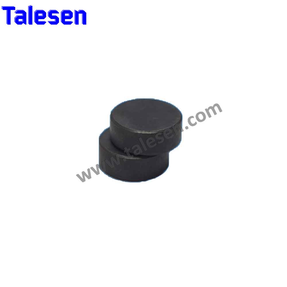 Disc Magnet - Shanghai Talesen Magnetic Material Co., Ltd.